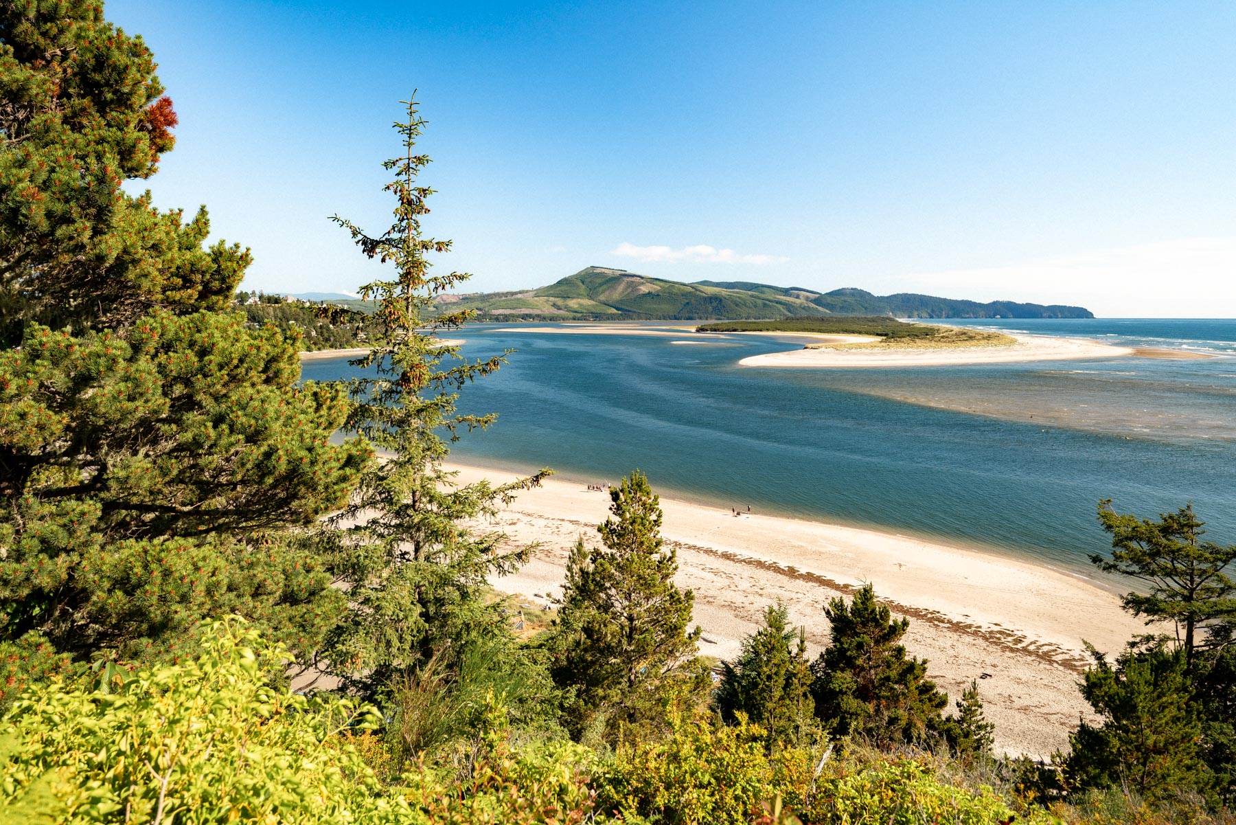 12 MEMORABLE Things to Do Tillamook, Oregon (Helpful Guide)