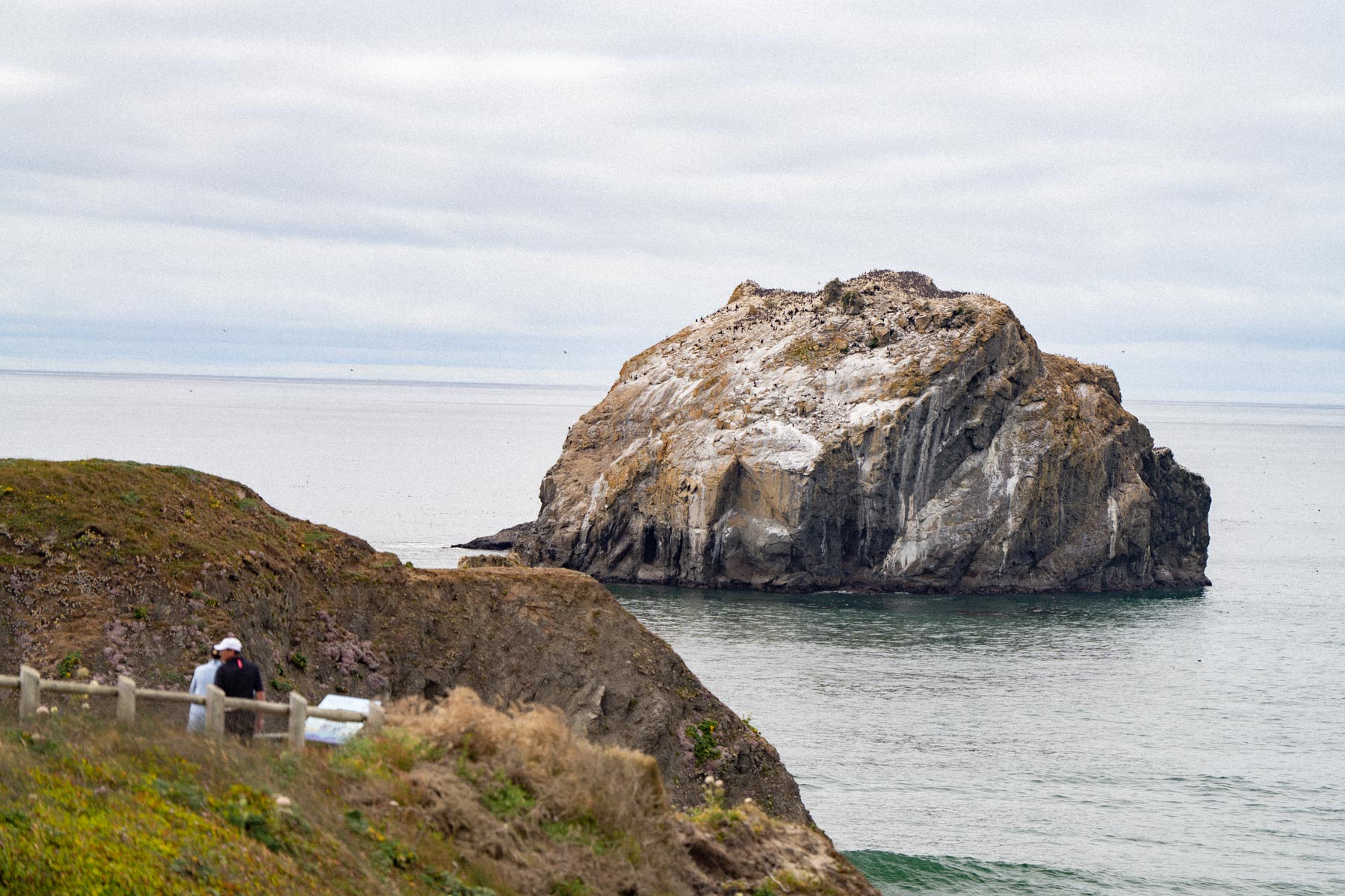 15 BEST Things to Do in BANDON, Oregon (Local's Guide)