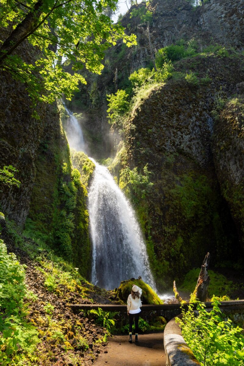 10 EPIC Waterfall Hikes Near Multnomah Falls (Local's Guide)