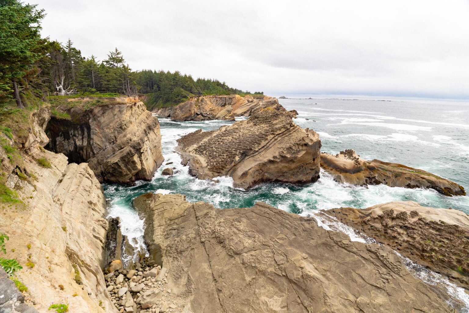Whale Watching at the OREGON COAST (Guide & 5 Best Spots)