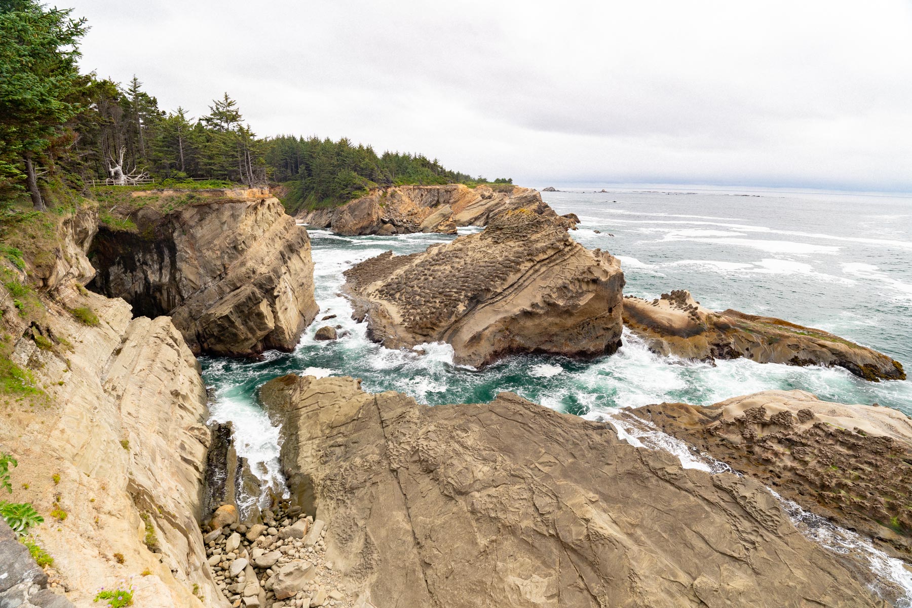 Whale Watching at the OREGON COAST (Guide & 5 Best Spots)