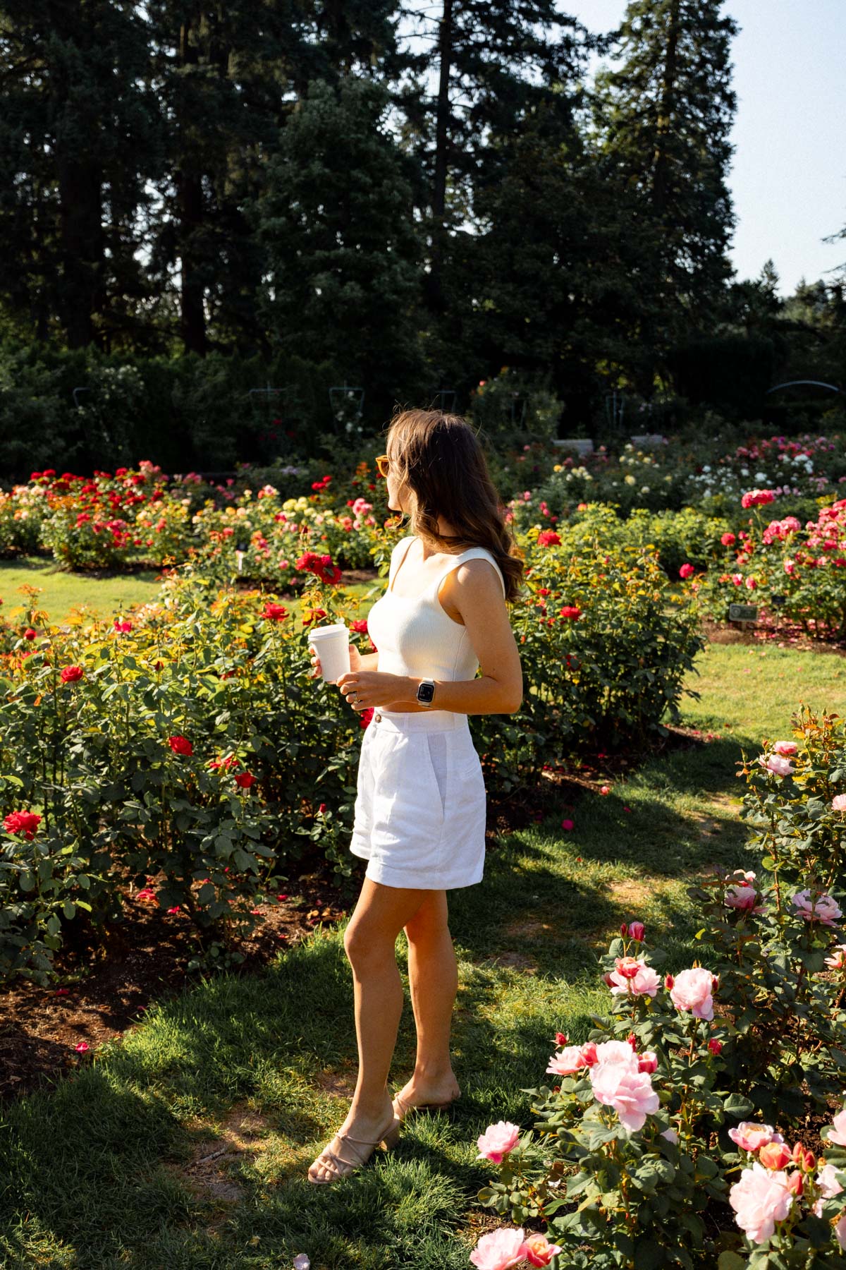 Visiting the Portland ROSE Garden (Helpful Local's Guide & Tips)