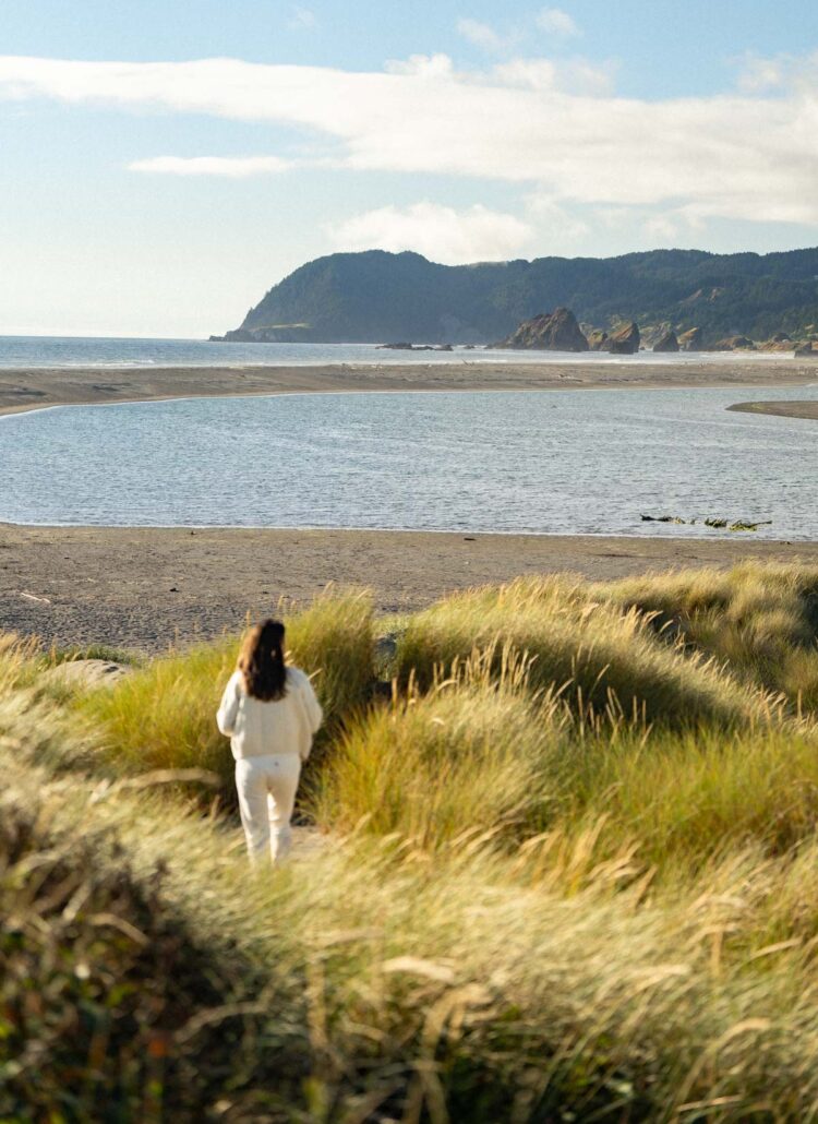 10 BEST Spots for Wildlife at the Oregon Coast (Helpful Guide)