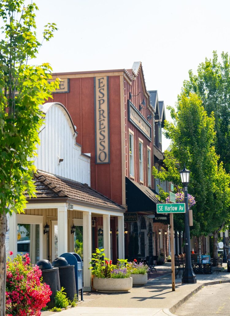 3 SCENIC Spots to See REDWOODS in Oregon (Local's Guide)