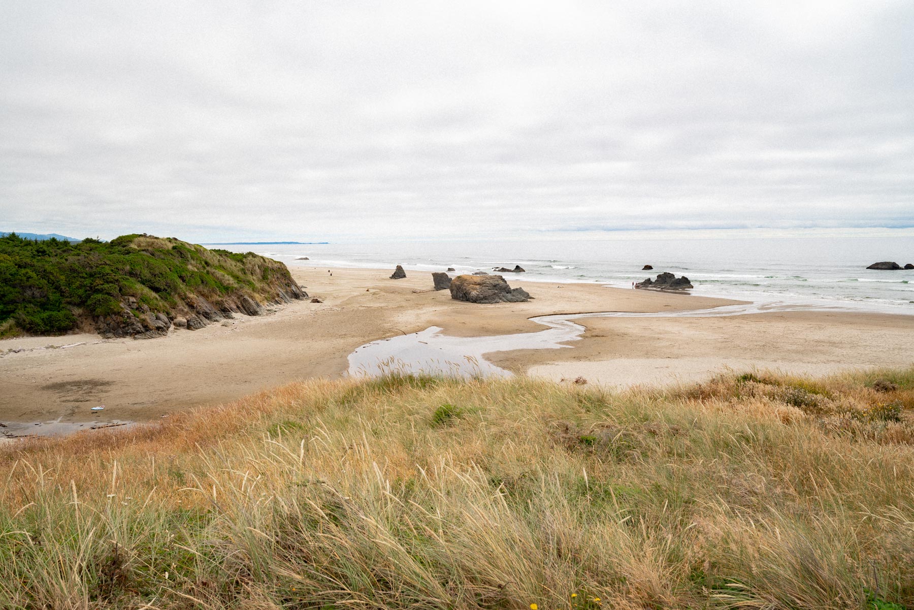 15 BEST Things to Do in BANDON, Oregon (Local's Guide)