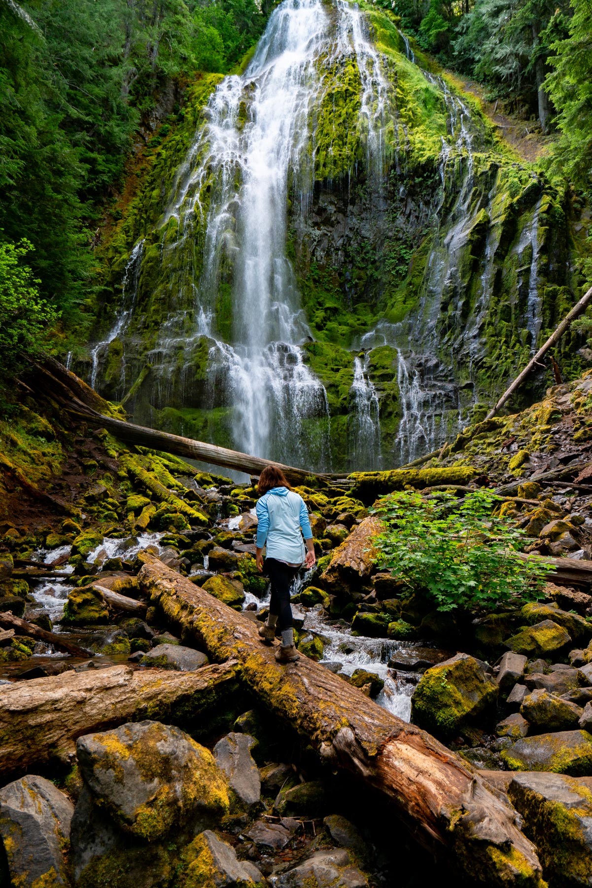 10 EPIC Waterfalls Near Bend, Oregon (Totally Worth the Effort)