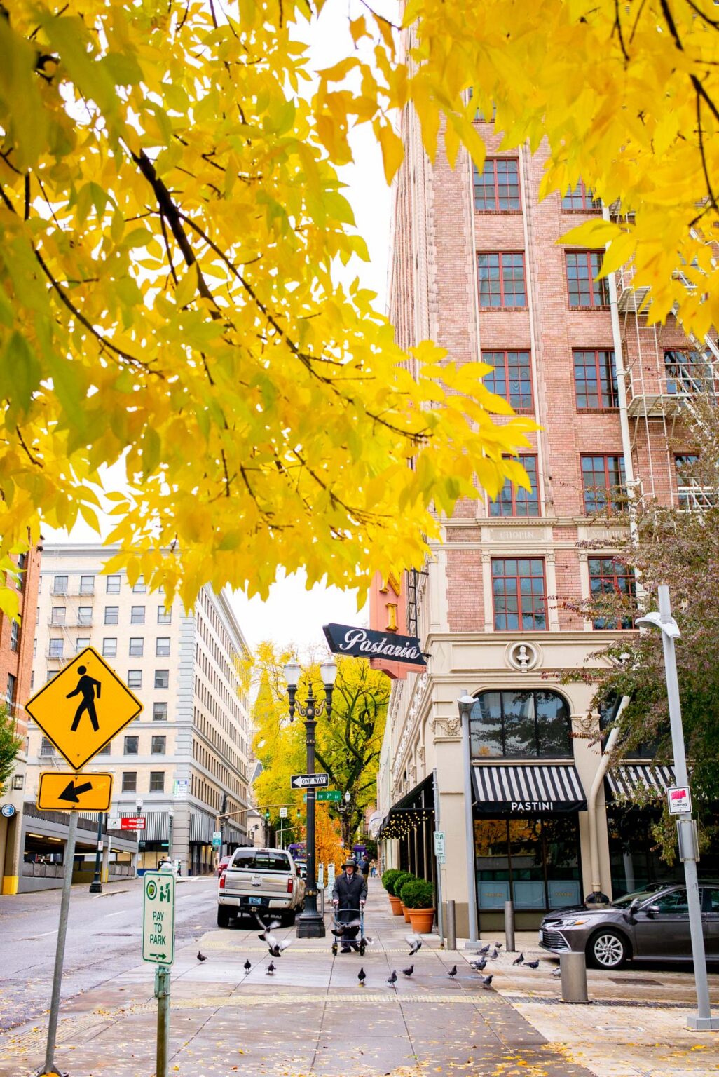 15+ MEMORABLE Rainy Day Activities in Portland, Oregon (+Tips)