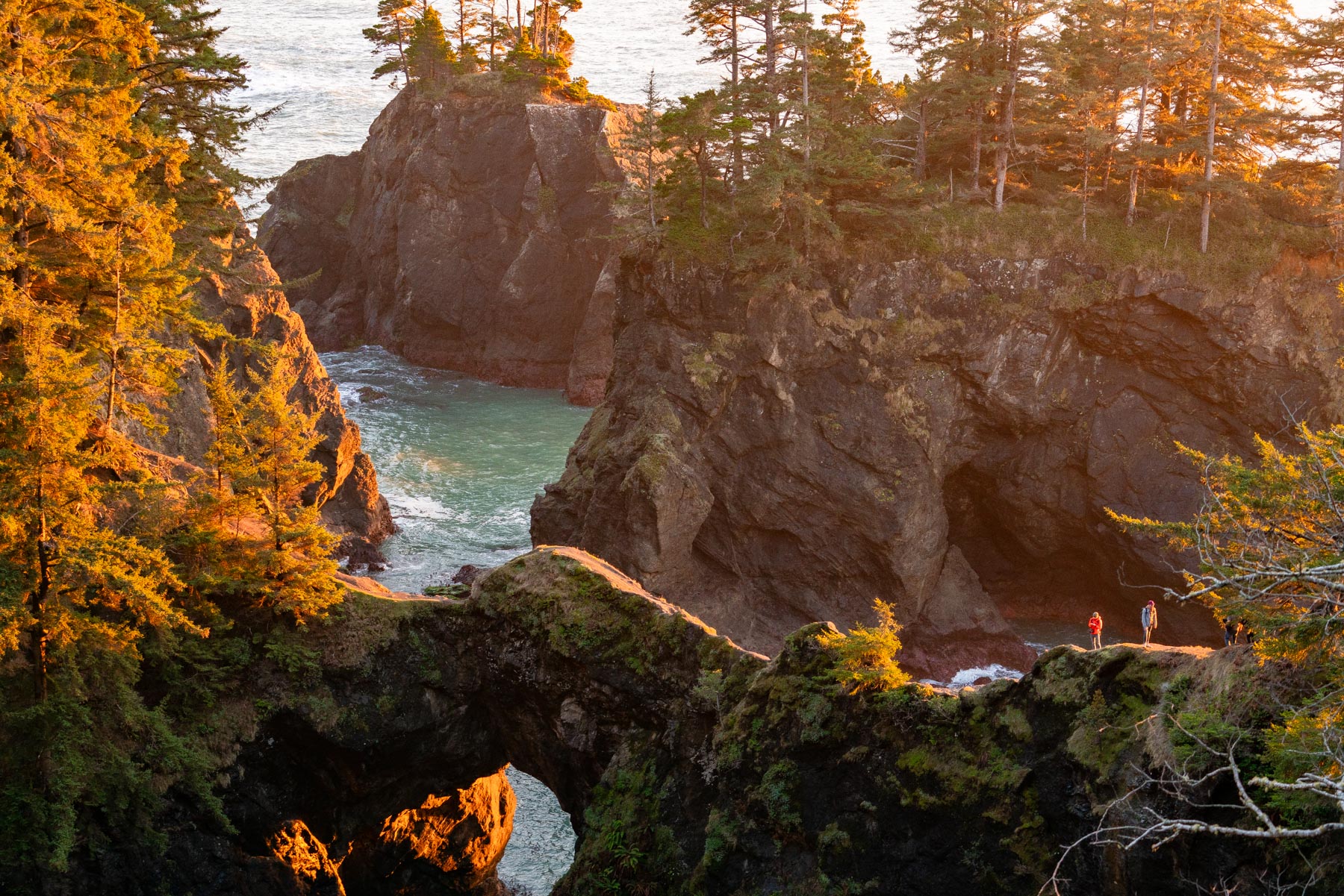 10+ BEST Things to Do at Samuel H. Boardman Scenic Corridor