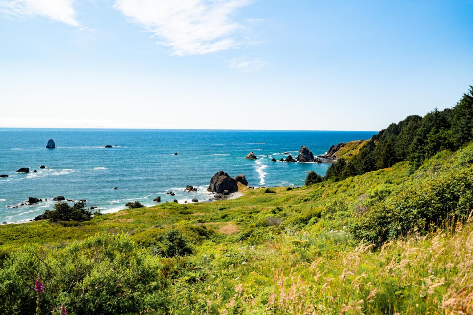 10+ BEST Things to Do at Samuel H. Boardman Scenic Corridor