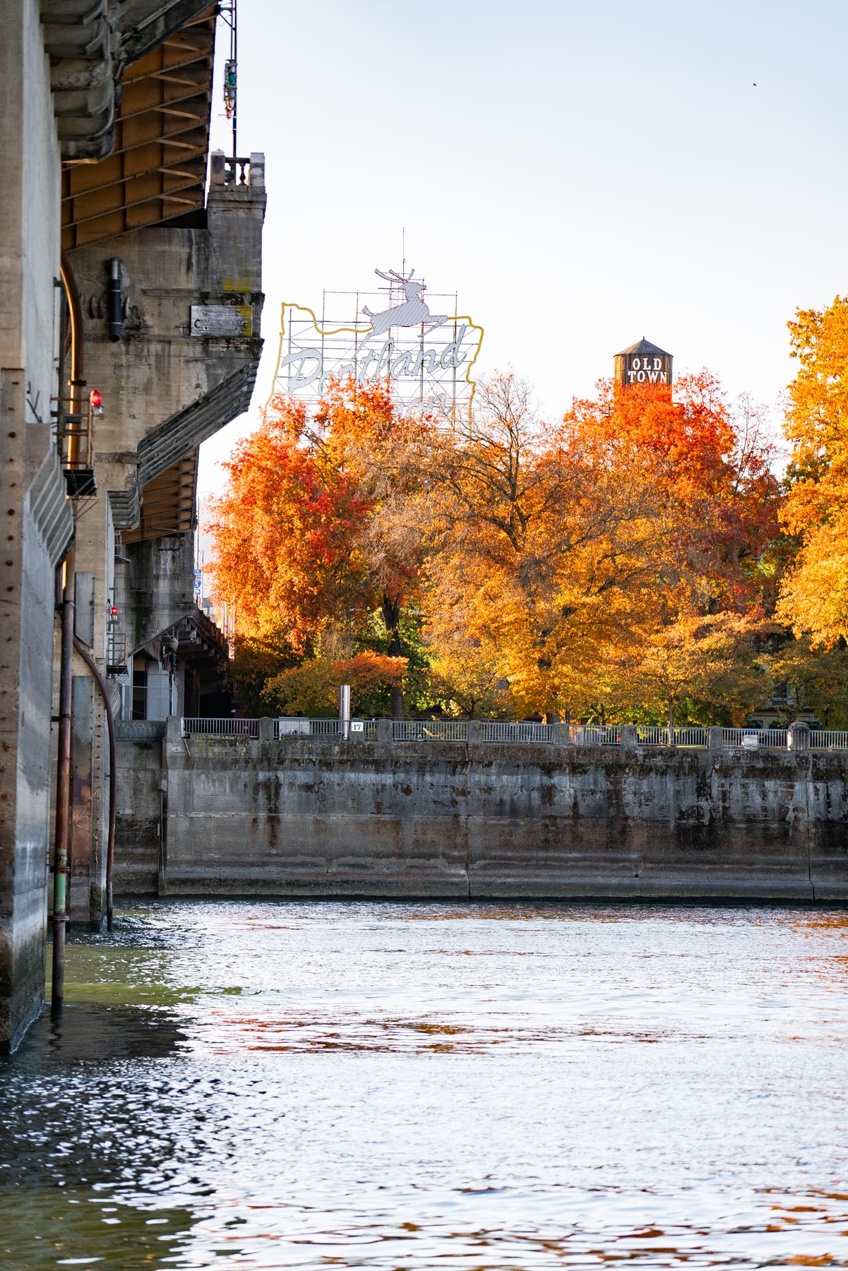 15 STUNNING Spots for Fall Color in Portland, Oregon (+Photos)