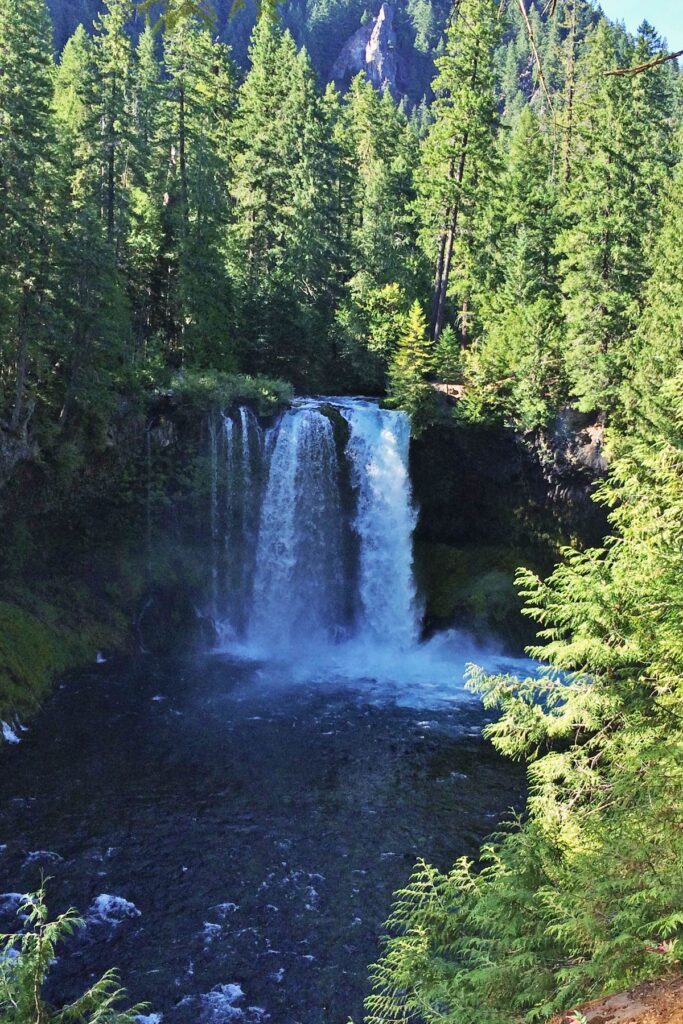 20 WILDLY Beautiful Oregon Waterfalls Worth the Hype (Guide)