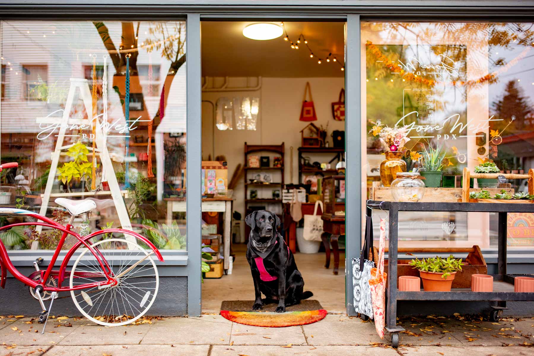 3 UNFORGETTABLE Days in Portland (Itinerary + Helpful Guide)