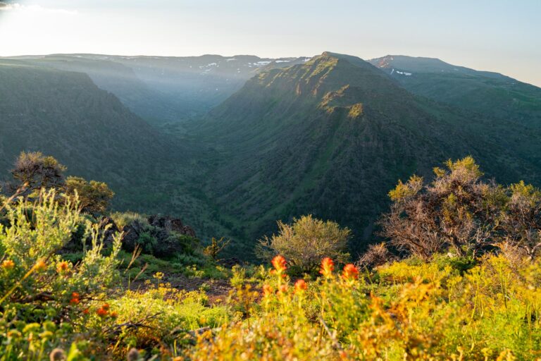 A (VERY) Helpful Guide to Steens Mountain & Alvord Desert (+Tips)