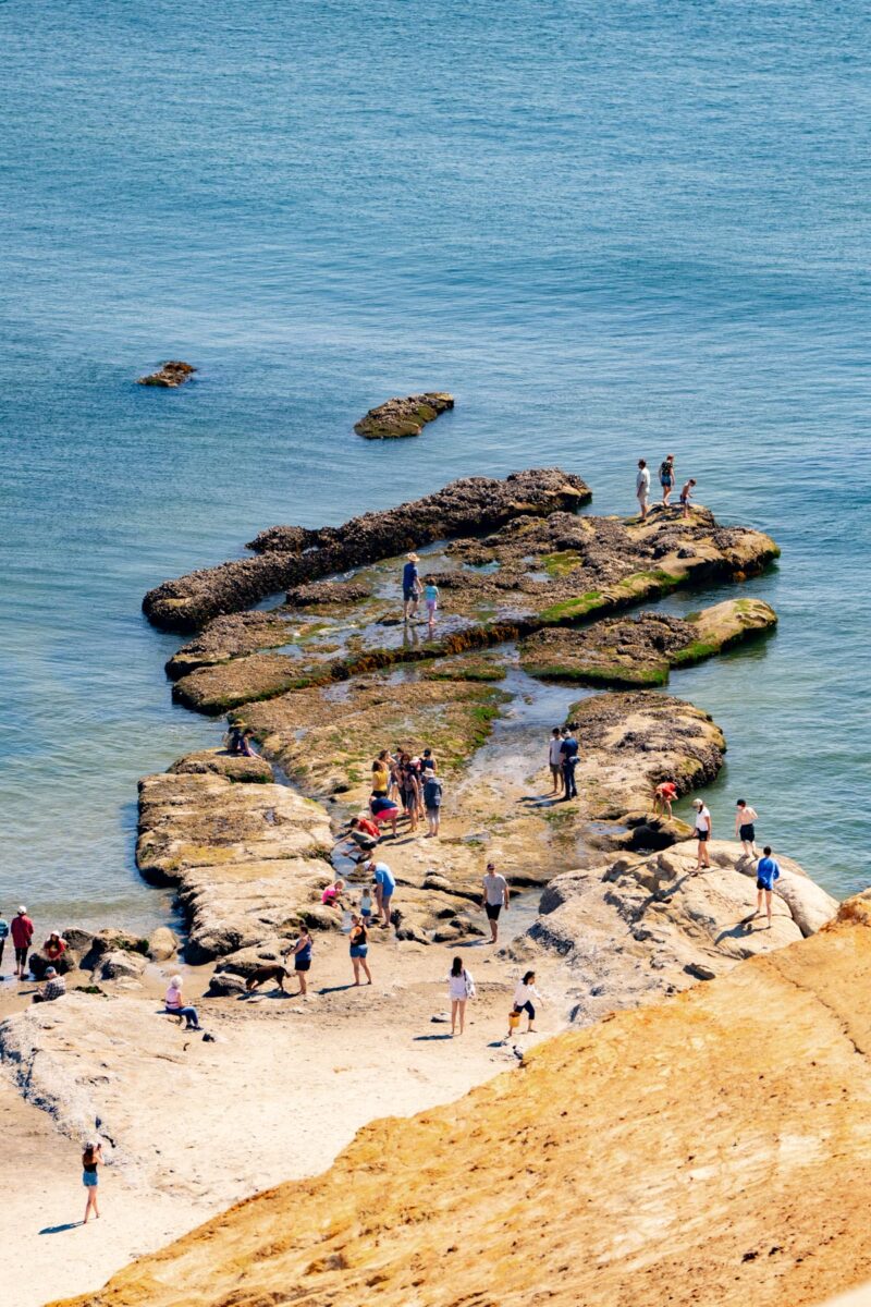 10 EPIC Tide Pools at the Oregon Coast (Worth the Drive) | Oregon Essential