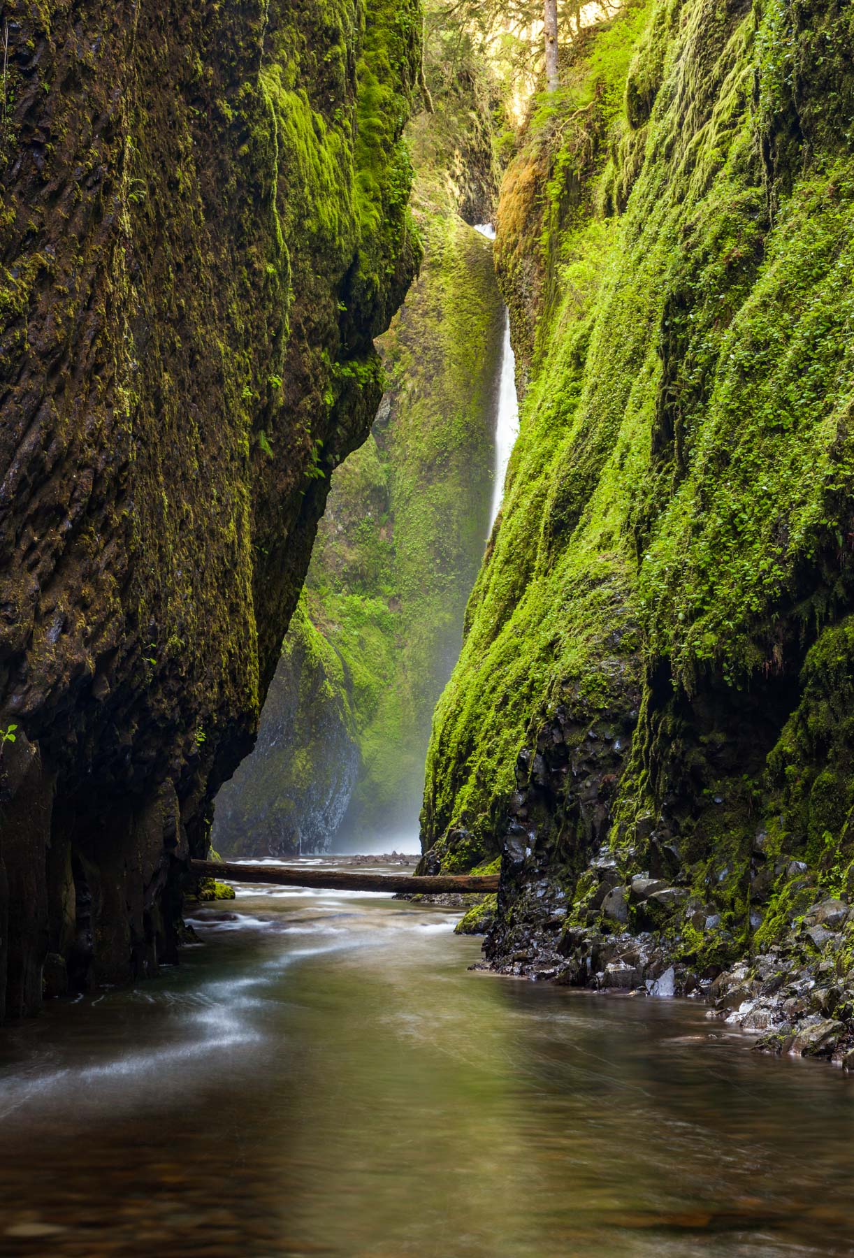 15 EPIC Hikes in the Columbia Gorge (For All Skill Levels)