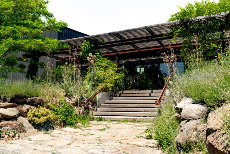 15 OUTSTANDING Oregon Wineries (Thirsty Local's Guide)