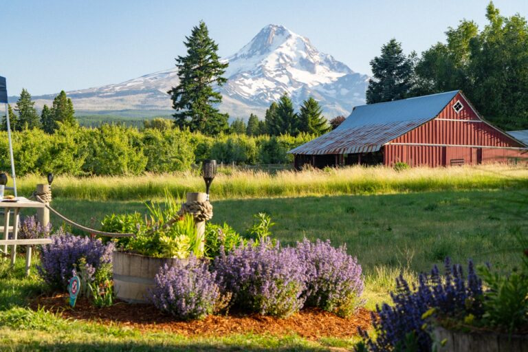 25 EPIC Things to Do in Oregon That You Can't Do Anywhere Else