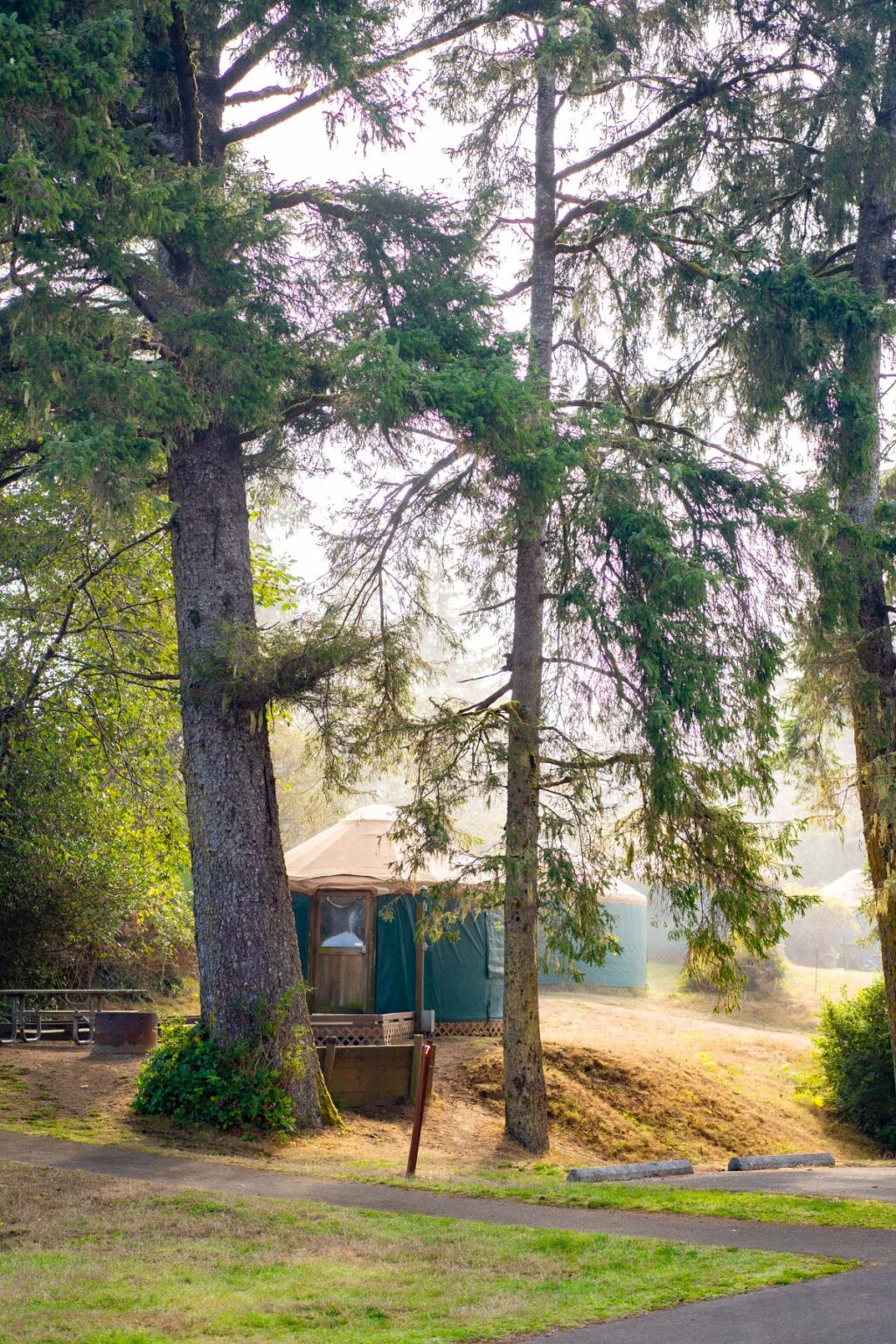Oregon Coast in Summer (Complete Guide to the Best Season) - Oregon ...