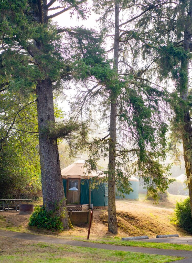 15 Most BEAUTIFUL Oregon Coast State Parks (Helpful Guide)
