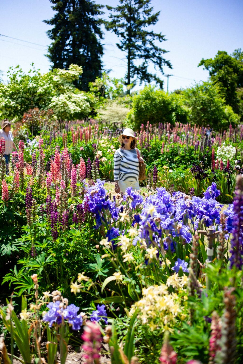 10 BREATHTAKING Flower Fields Near Portland (Local's Guide)