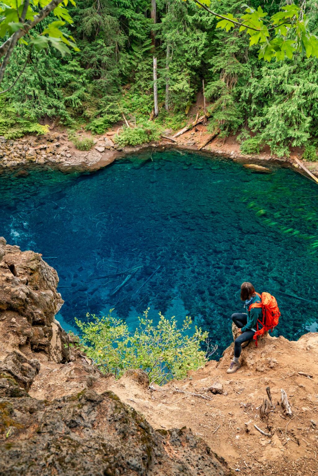 Hike to the EPIC Tamolitch BLUE POOL in Oregon (Local's Guide)