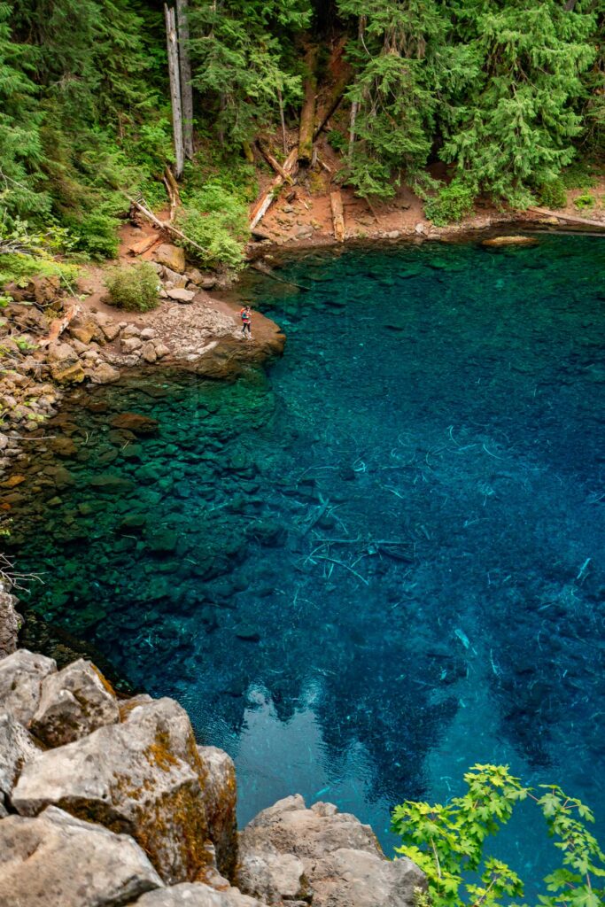Hike to the EPIC Tamolitch BLUE POOL in Oregon (Local's Guide)