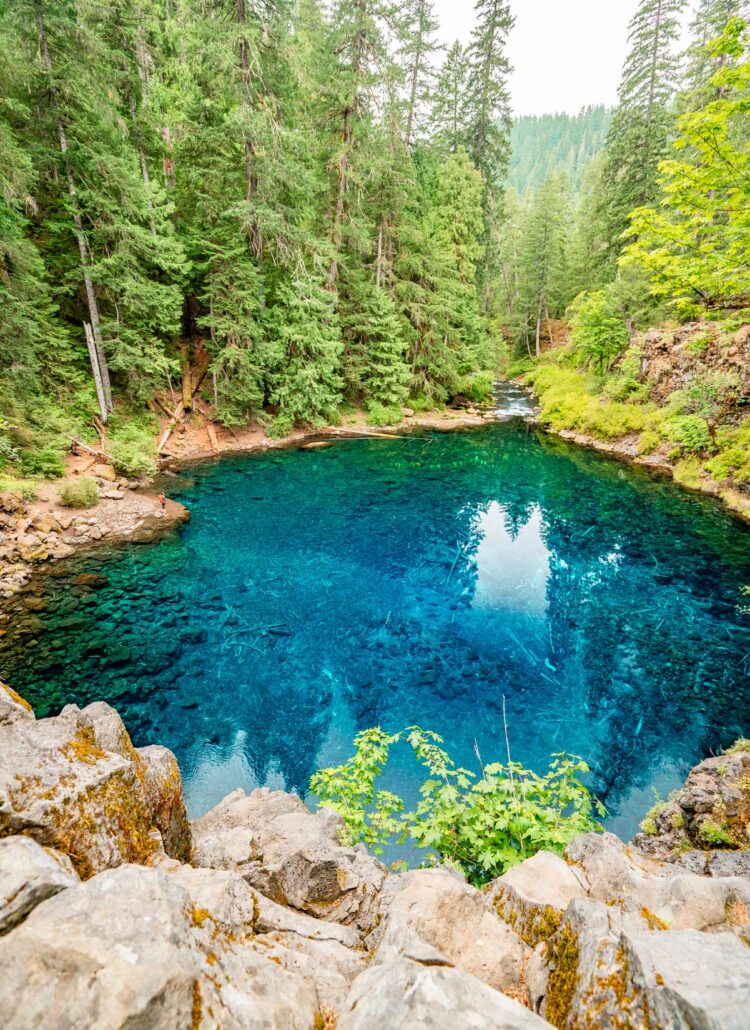 Hiking the JAW-DROPPING MISERY RIDGE TRAIL at Smith Rock