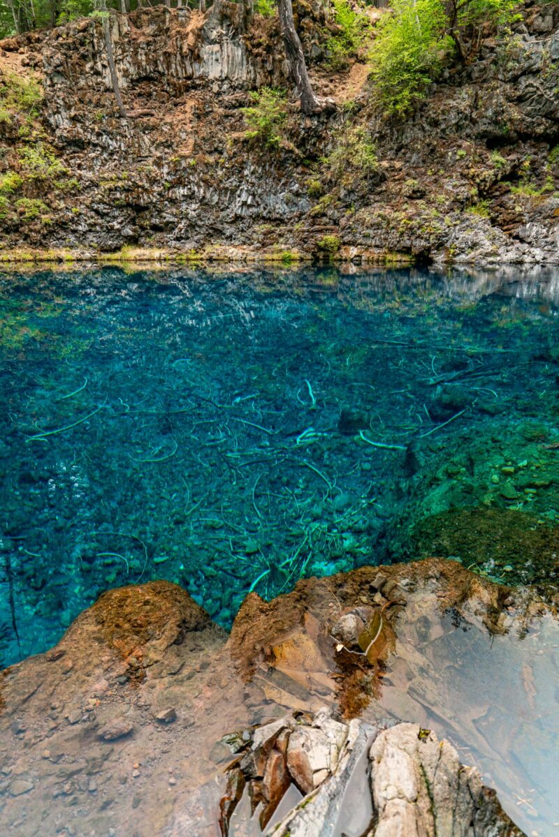 Hike to the EPIC Tamolitch BLUE POOL in Oregon (Local's Guide)