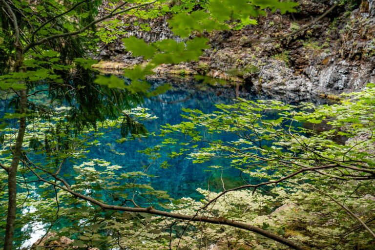 Hike to the EPIC Tamolitch BLUE POOL in Oregon (Local's Guide)