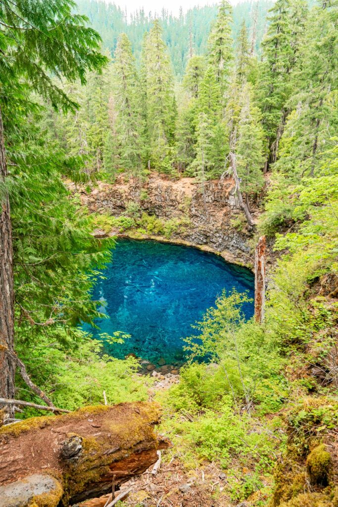 Hike to the EPIC Tamolitch BLUE POOL in Oregon (Local's Guide)