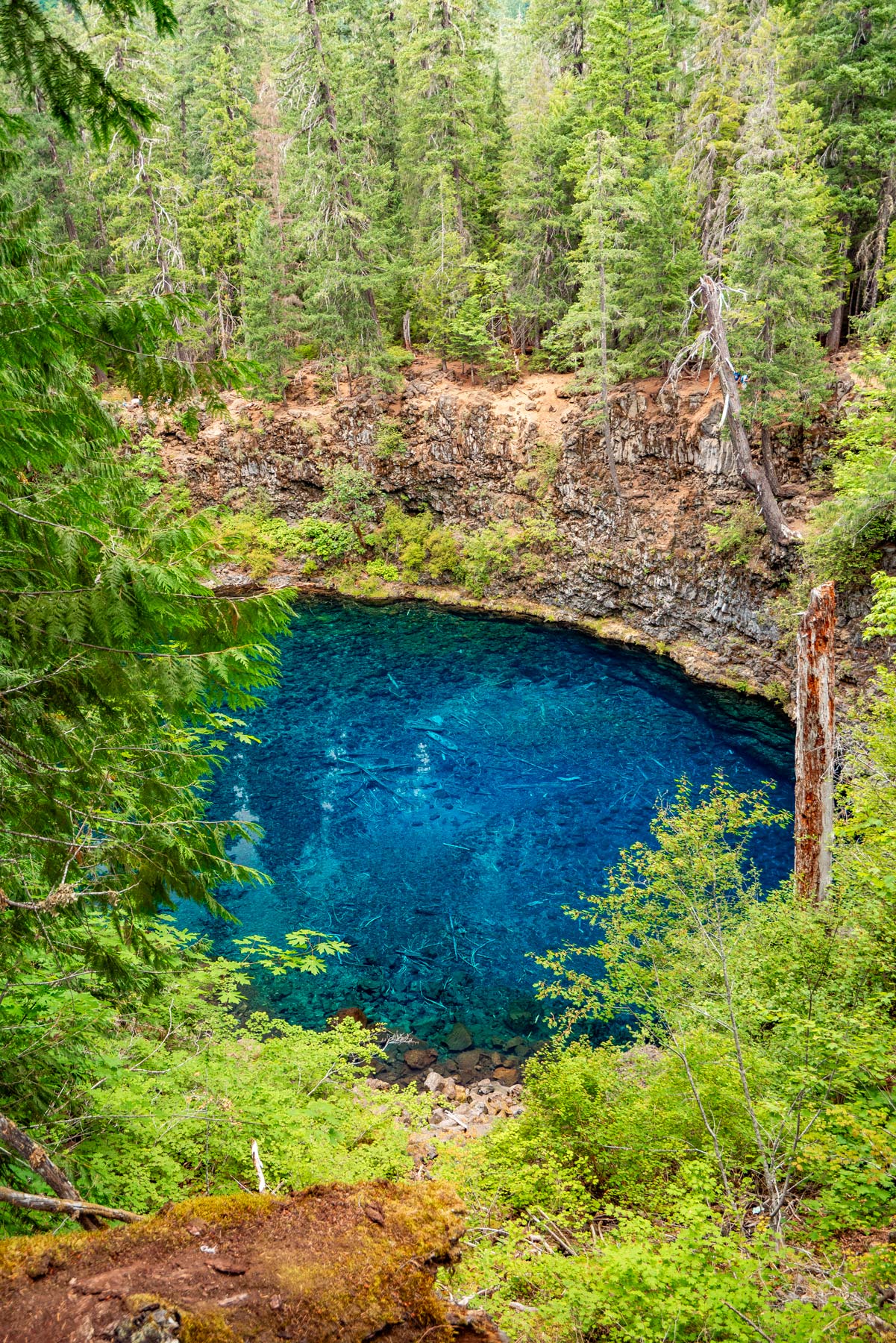 Hike to the EPIC Tamolitch BLUE POOL in Oregon (Local's Guide)