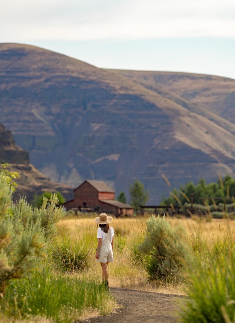 3 SCENIC Spots to See REDWOODS in Oregon (Local's Guide)