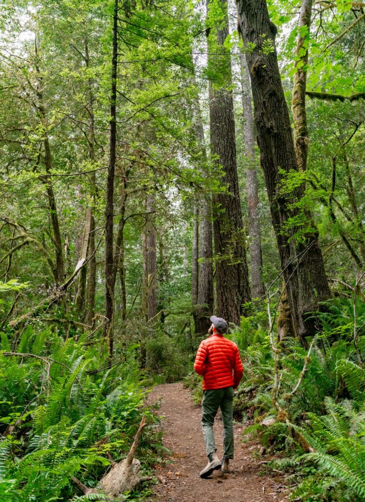 10 SAFEST Cities in Oregon Based on Stats (Helpful Guide)